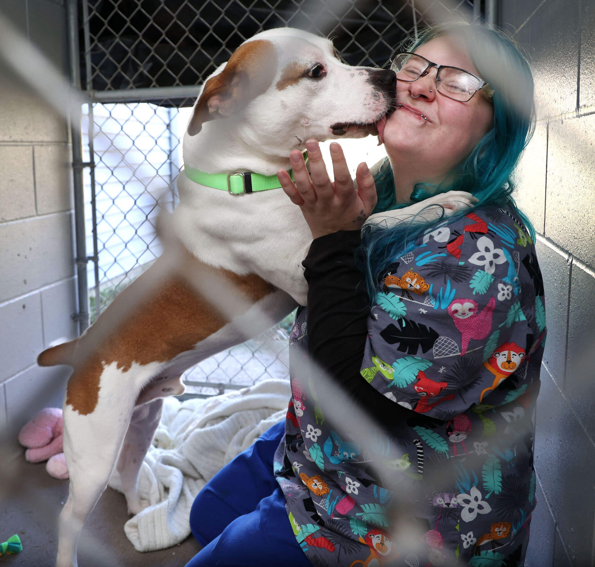 Services - Eau Claire Community Humane Association