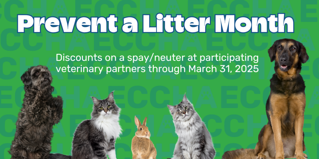 Prevent a Litter Month 2025 - Eau Claire Community Humane Association